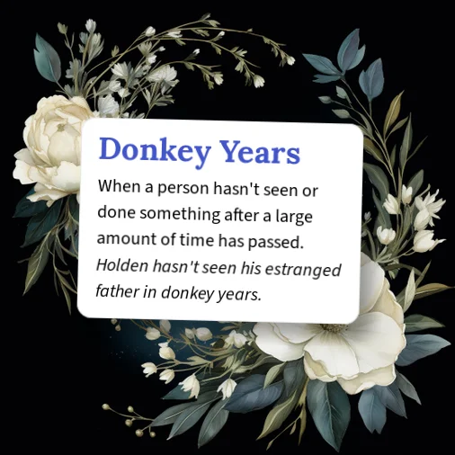 Urban Dictionary: donkeys-years