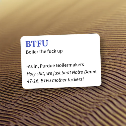 Urban Dictionary: BTFU