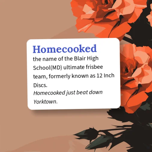 Urban Dictionary: Homecooke