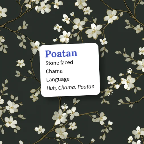 Urban Dictionary: Poatan