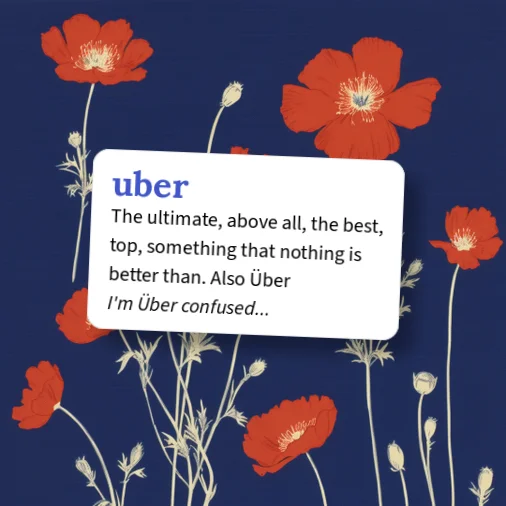 Urban Dictionary: uber