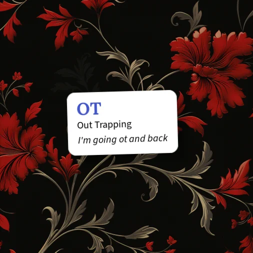 Urban Dictionary: OT