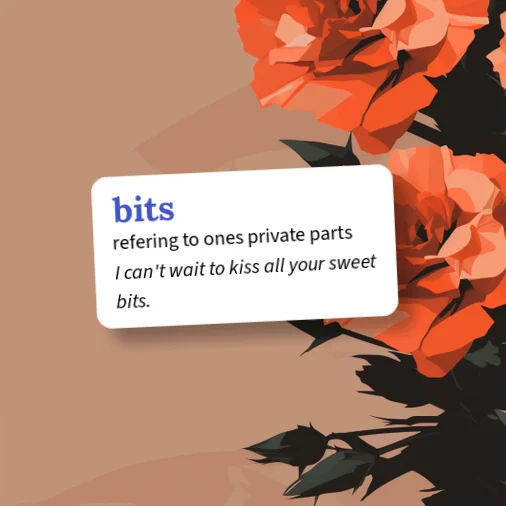 Urban Dictionary: bits