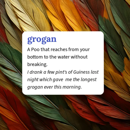 Urban Dictionary: grogan