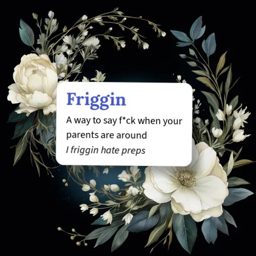 Urban Dictionary: Friggin