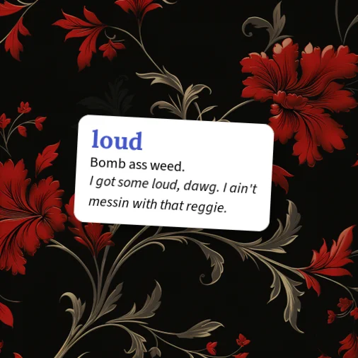 Urban Dictionary: loud