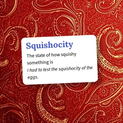 Urban Dictionary: Squishocity