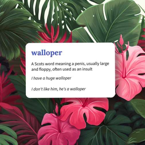 Urban Dictionary: walloper