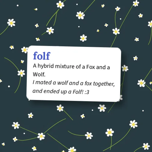 Urban Dictionary: folf