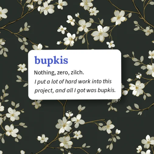 Urban Dictionary: bupkis