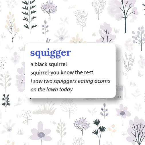 Urban Dictionary: squigger