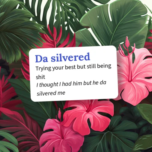 Urban Dictionary: da-silver