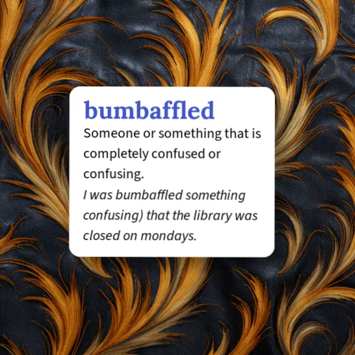 Urban Dictionary: bumbaffled