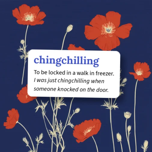 Urban Dictionary: chingchilling