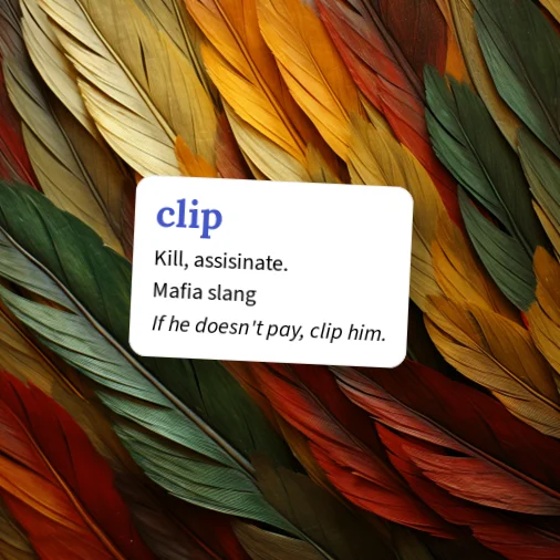 Urban Dictionary: clip