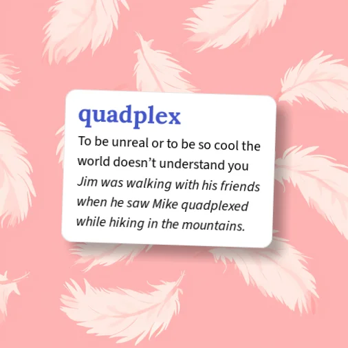 Urban Dictionary: quadplex