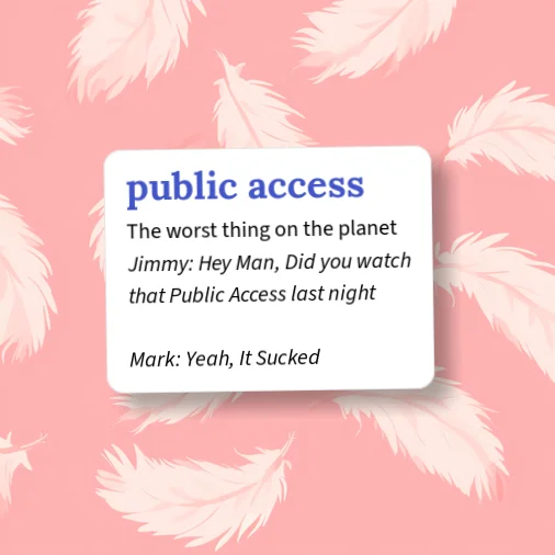 Urban Dictionary: public-access