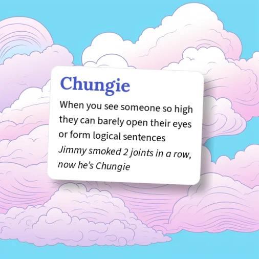 Urban Dictionary: Chungie