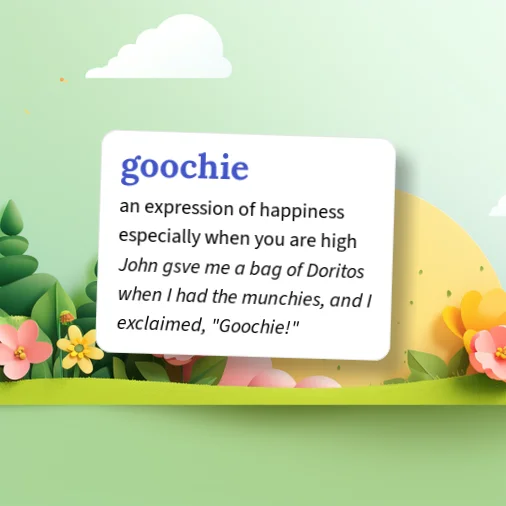 Urban Dictionary: goochie