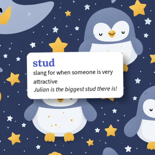 Urban Dictionary: stud