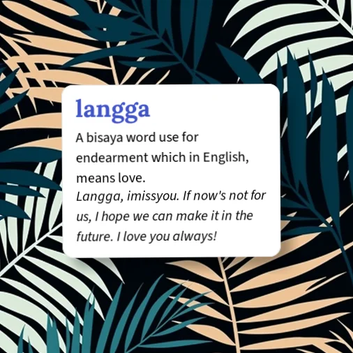 Urban Dictionary: langga