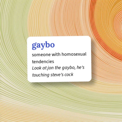 Urban Dictionary: gaybo