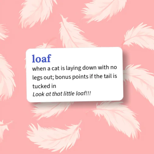 Urban Dictionary: loaf