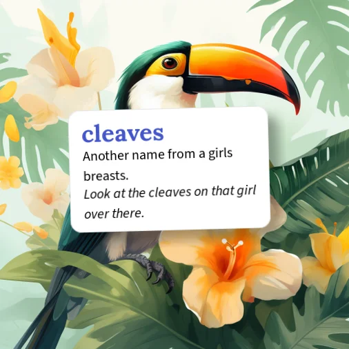 Urban Dictionary: cleaves