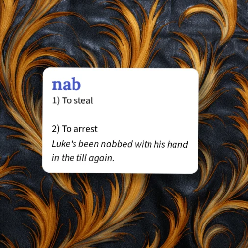 Urban Dictionary: nab