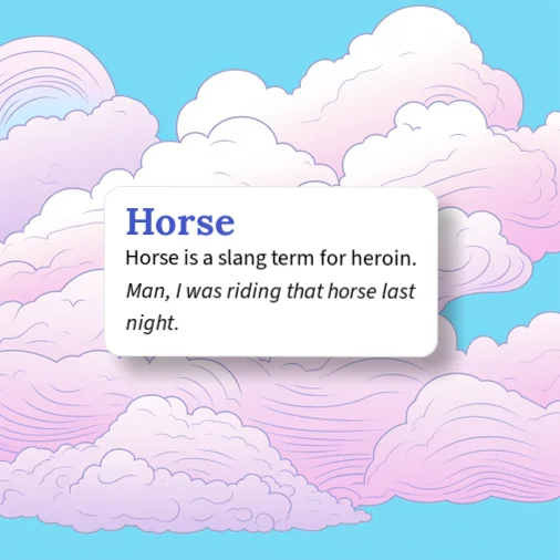 Urban Dictionary: Horse
