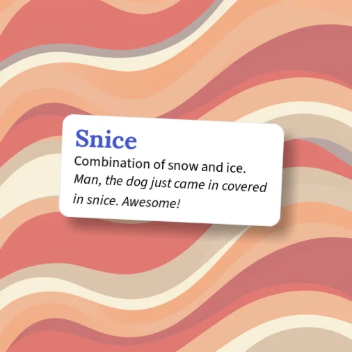 Urban Dictionary: Snice