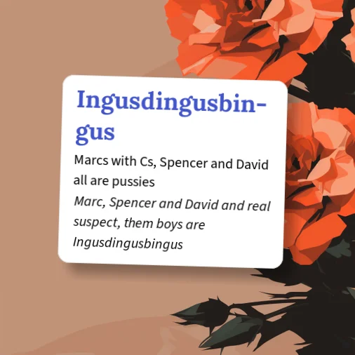 Urban Dictionary: Ingusdingusbingus