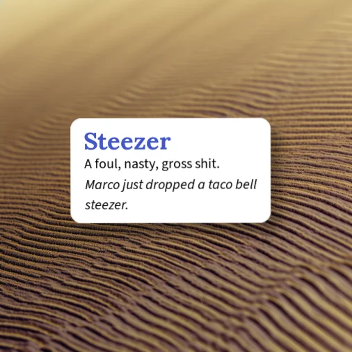 Urban Dictionary: Steezer