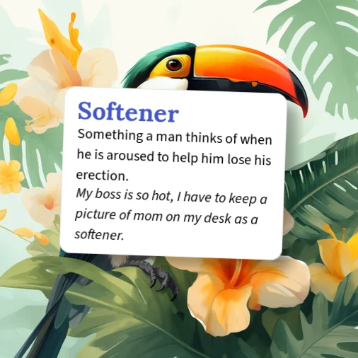 Urban Dictionary: Softener
