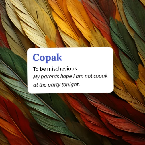Urban Dictionary: Copak
