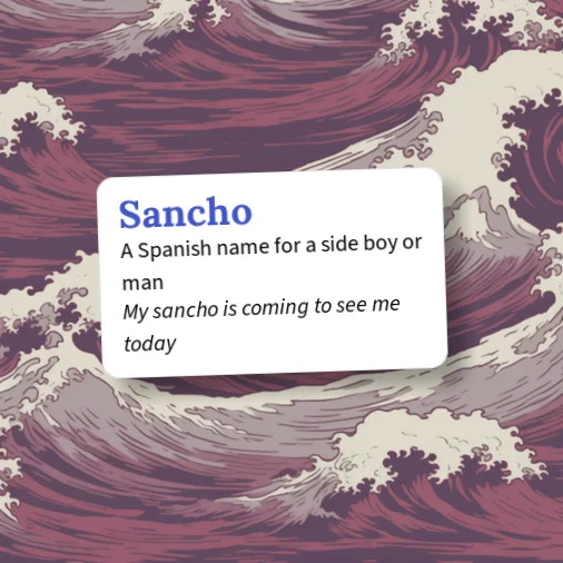 Urban Dictionary: Sancho