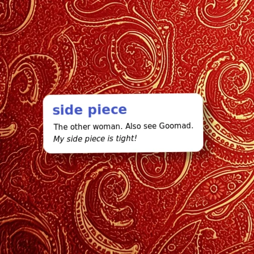 Urban Dictionary: side-piece