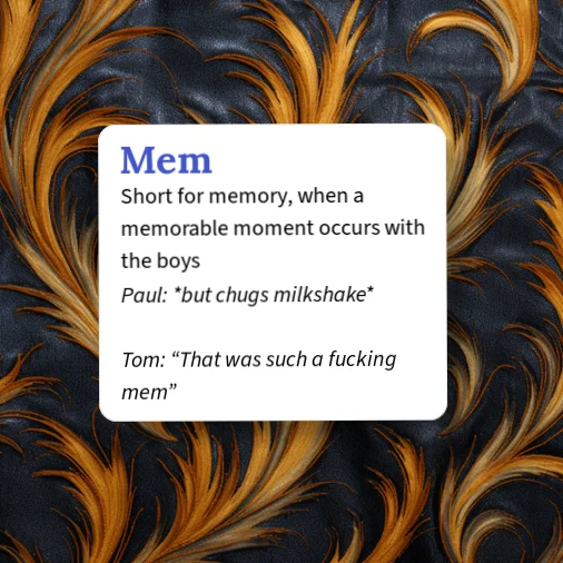Urban Dictionary: mem