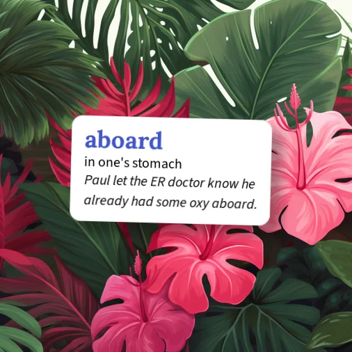 Urban Dictionary: aboard