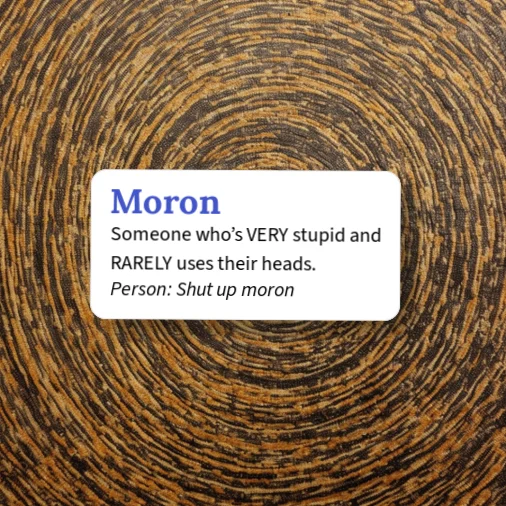 Urban Dictionary: Moron