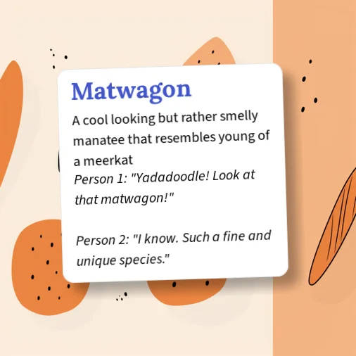 Urban Dictionary: matwagon