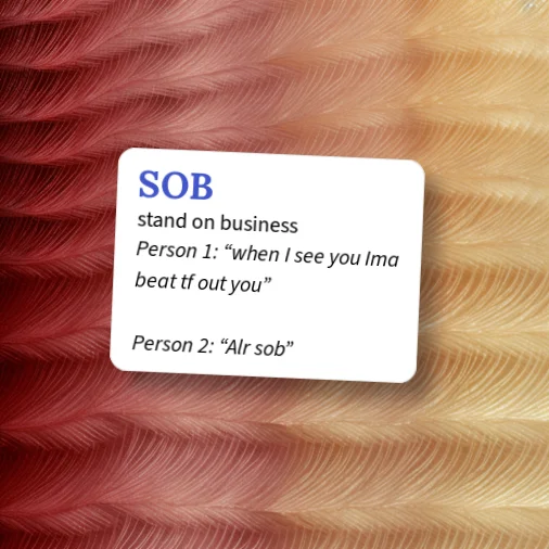 Urban Dictionary: SOB