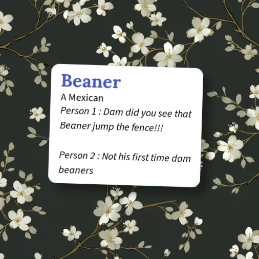 Urban Dictionary: beaner
