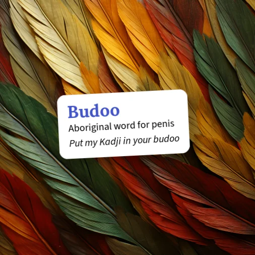Urban Dictionary: Budoo