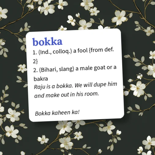 Urban Dictionary: bokka