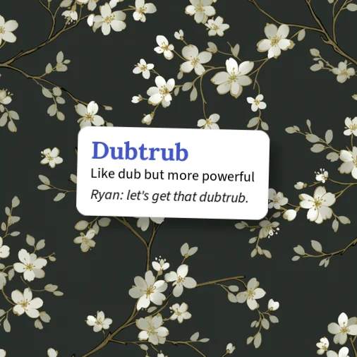 Urban Dictionary: Dubtrub