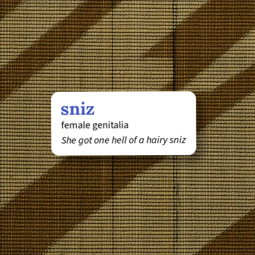 Urban Dictionary: sniz