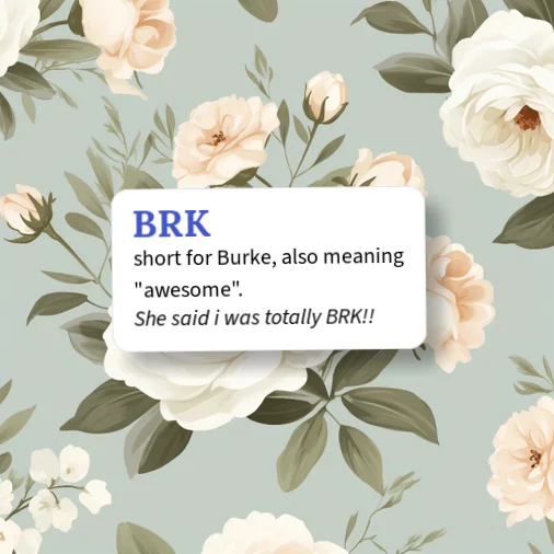 Urban Dictionary: BRK