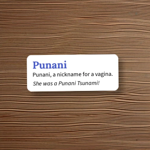 Urban Dictionary: Punani