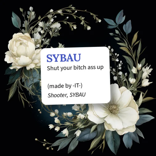Urban Dictionary: sybau